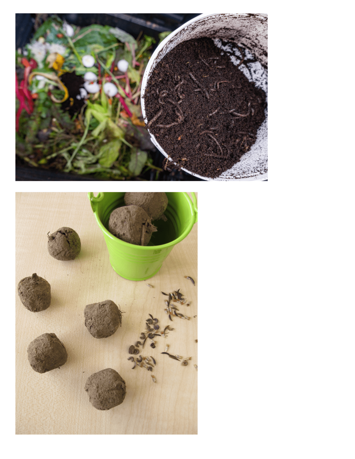 Composting & Living Soil for Kids! | Everything Outdoor Fest